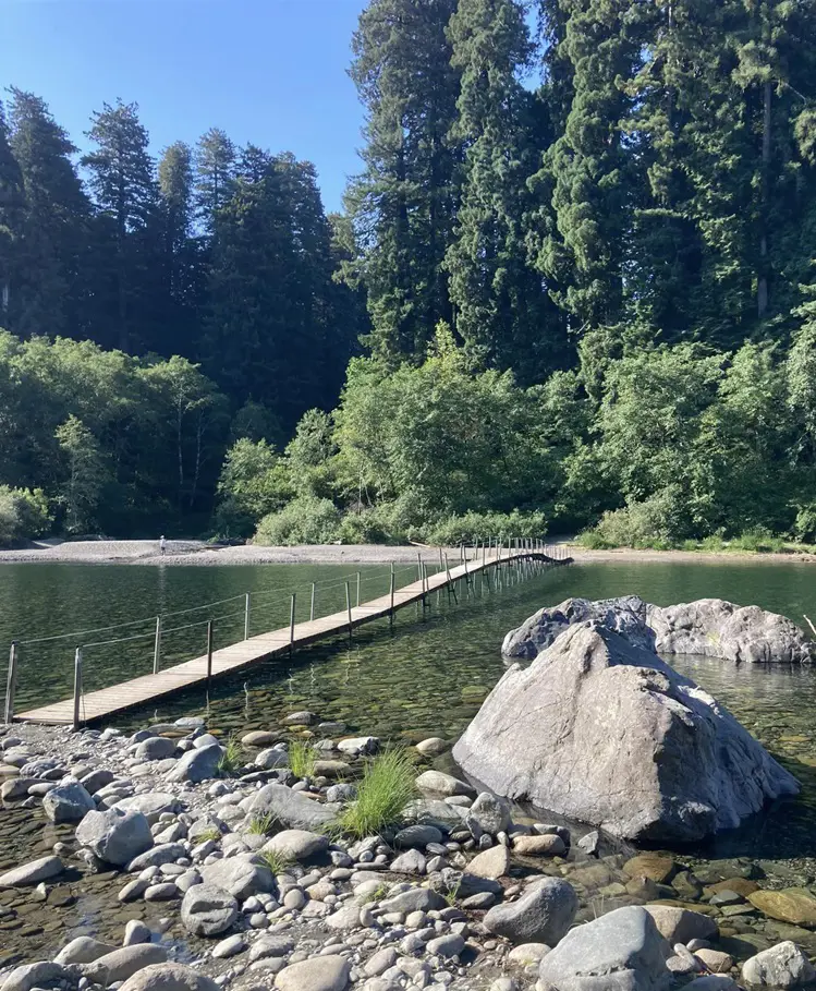 20 Best Things To Do In Redwood National And State Parks